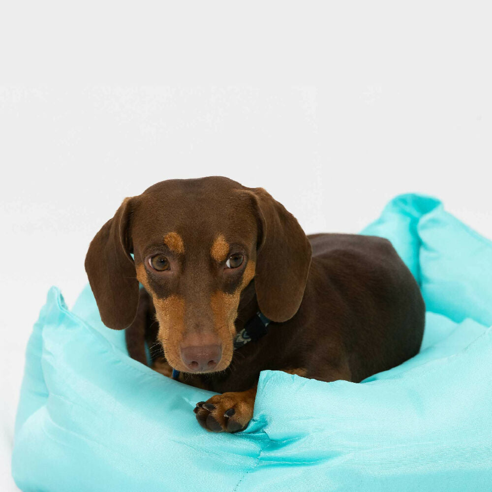 Cama Ciro Caseta Crown – VIRTUAL MUEBLES