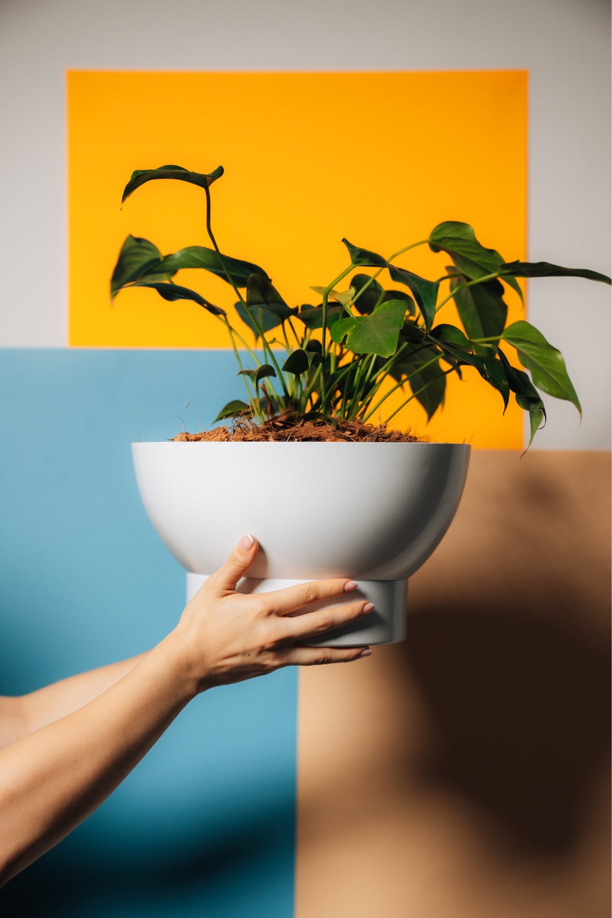 Matera Media Esfera Domus De 20cm, Blanco Mate – VIRTUAL MUEBLES